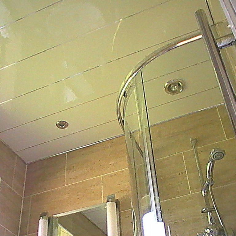 Bathroom Ceiling Panel Examples - The Bathroom Marquee
